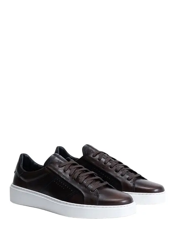 Robert Barakett Dion Leather Sneaker - Brown