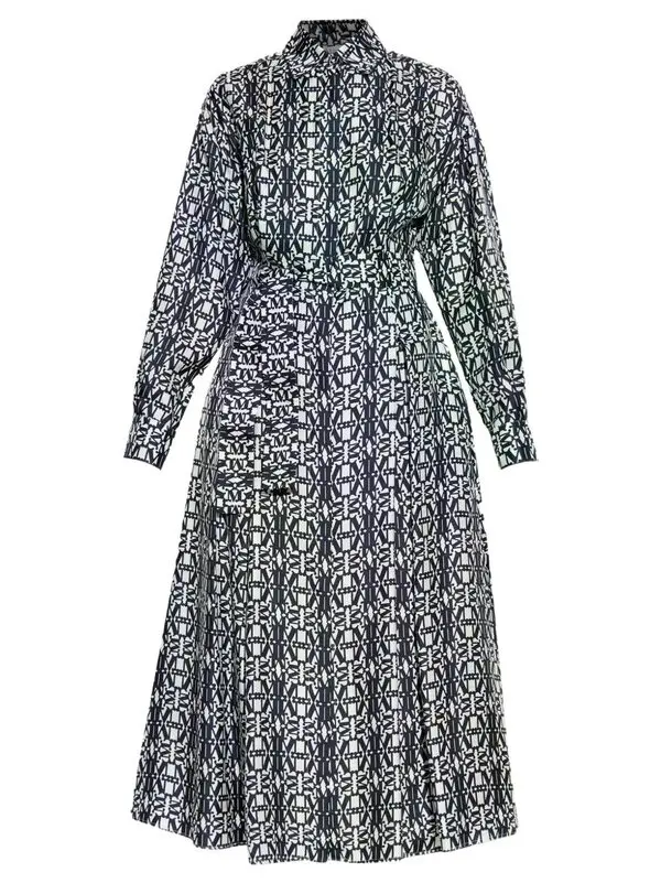 Max Mara Esploso Patterned Dress - Blue