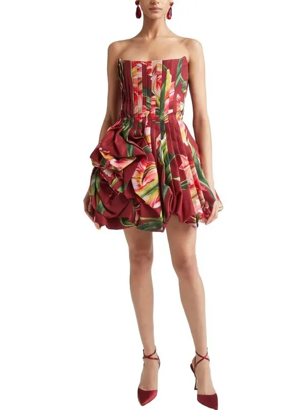 Carolina Herrera Tulip-print Pleated Mini Dress - Garnet Multi
