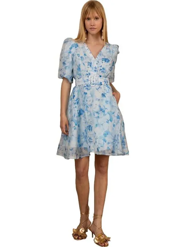 Hale Bob Ensley Organza Mini Dress - Blue