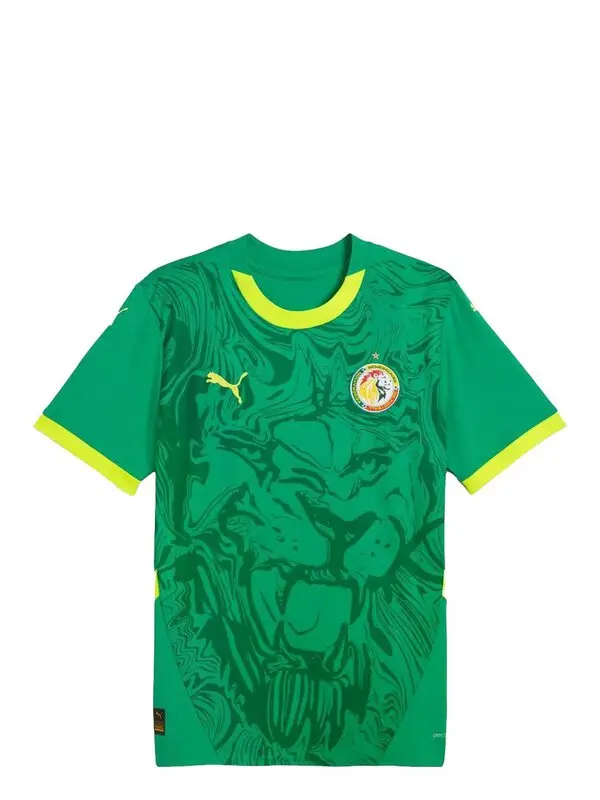 PUMA Senegal 2025 Graphic T-shirt - Green