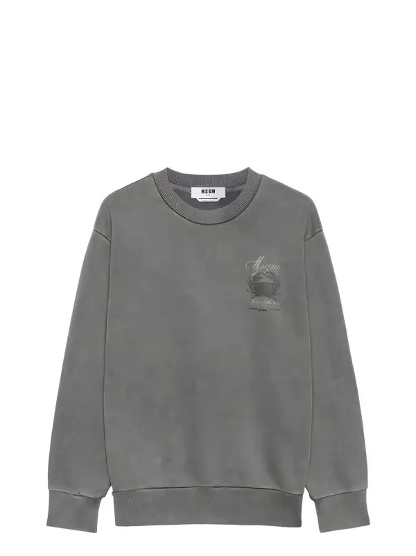 MSGM Graphic-print Sweatshirt - Grey