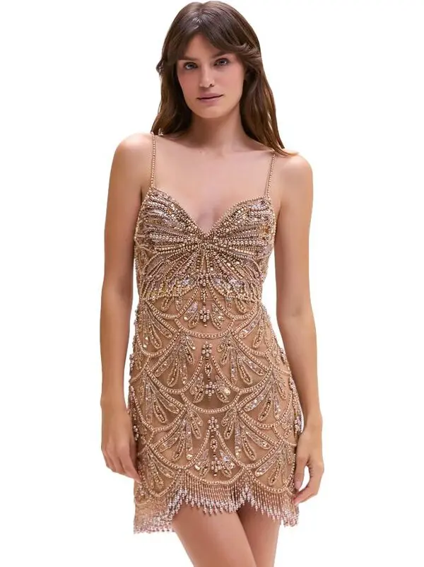 PatBO Embroidery Dreams Mini Dress - Brown / Neutral