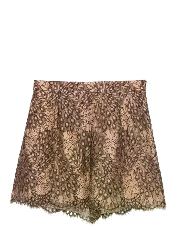 Shiatzy Chen Scape-of-curve Lace-print Shorts - Brown