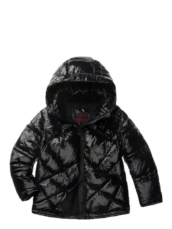 BLAUER. Hooded Quilted Jacket - Black