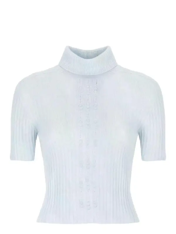 VANISÈ Ribbed Knit Turtleneck Top - Blue