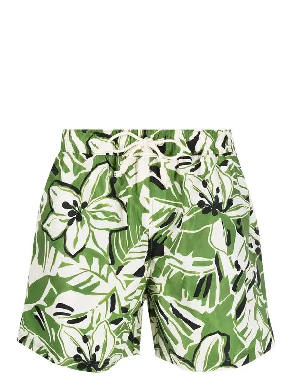 Palm Angels All Over Banana Leaf Shorts - Green