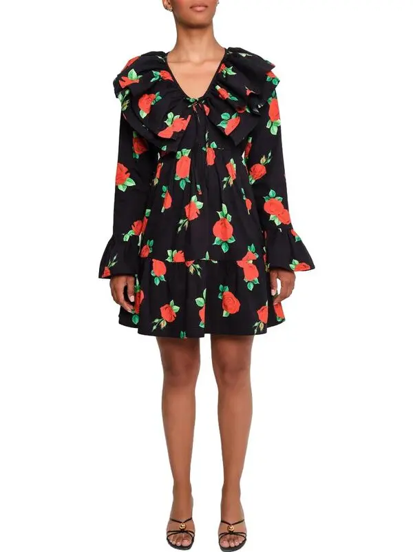 THE LULO PROJECT Wings Of The West Floral Long Sleeve Stretch Cotton Dress - Maxi Roses