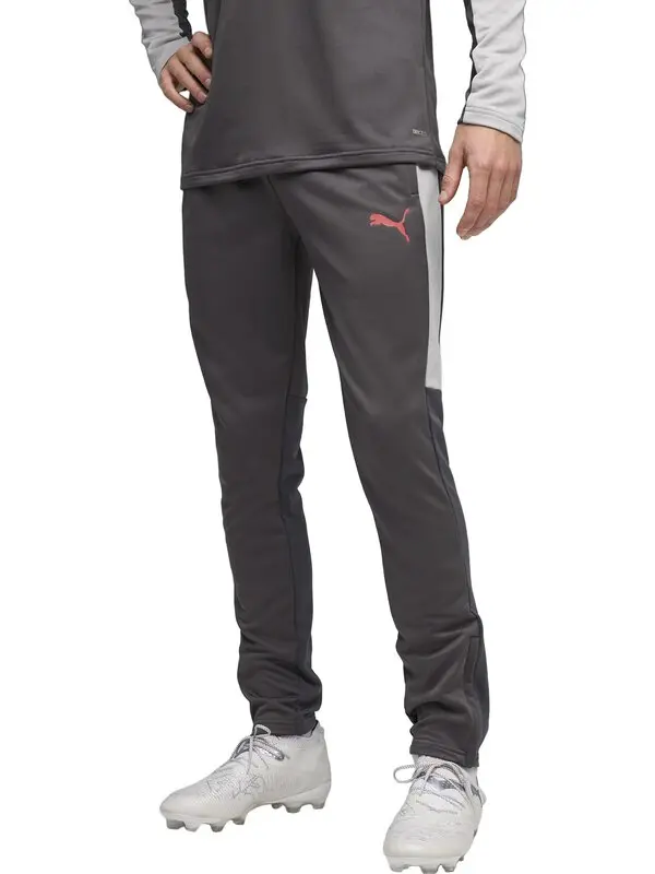 PUMA Individualliga Training Pants - Gray