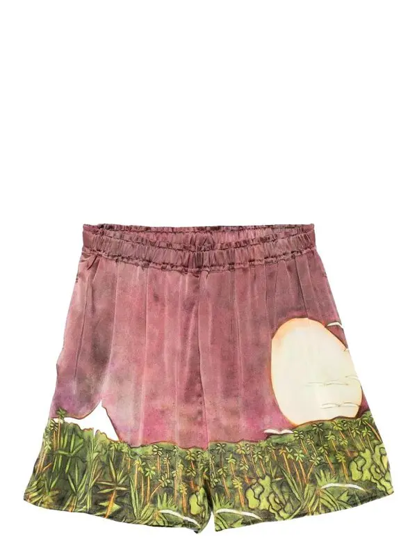 DONDE ESTEBAN La Sierra Printed Shorts - Purple