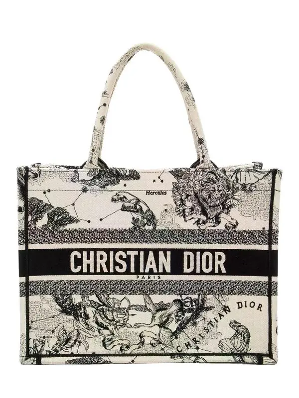Dior 2021 Medium Book Tote Bag - Neutrals