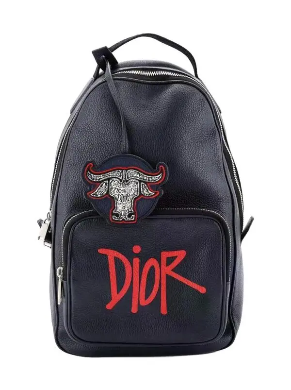 Dior Shawn Stussy Crossbody Printed Leather Backpack - Blue