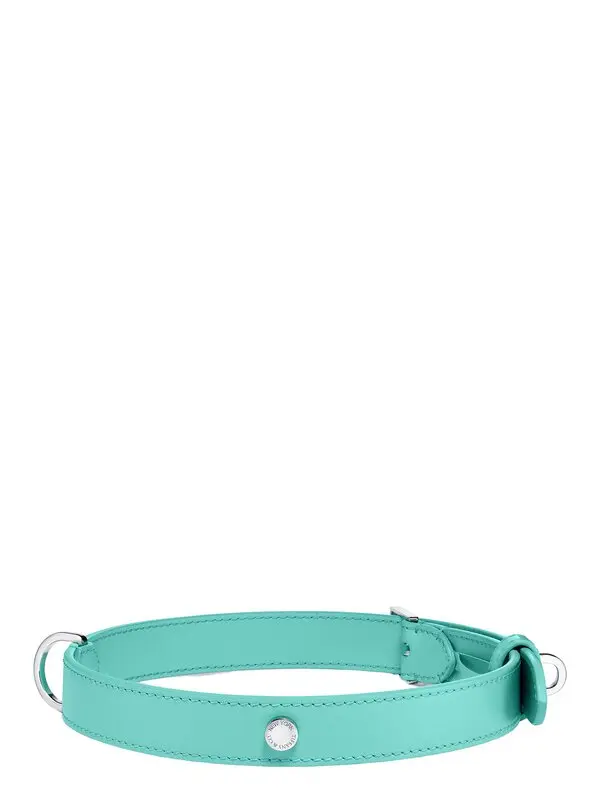 Tiffany & Co. Exclusive Pet Essentials Medium Leather Collar - Blue