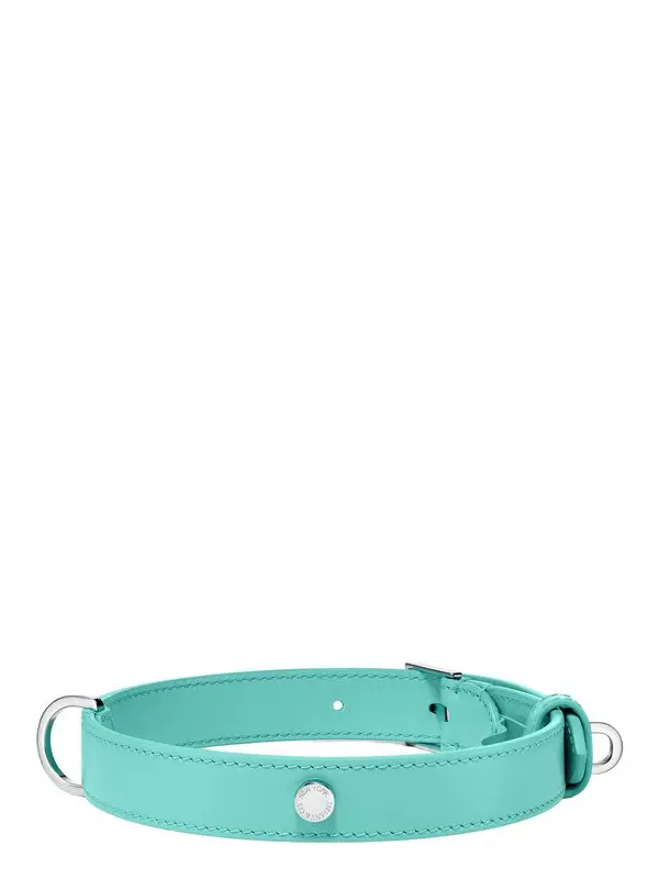Tiffany & Co. Exclusive Pet Essentials Leather Collar - Blue