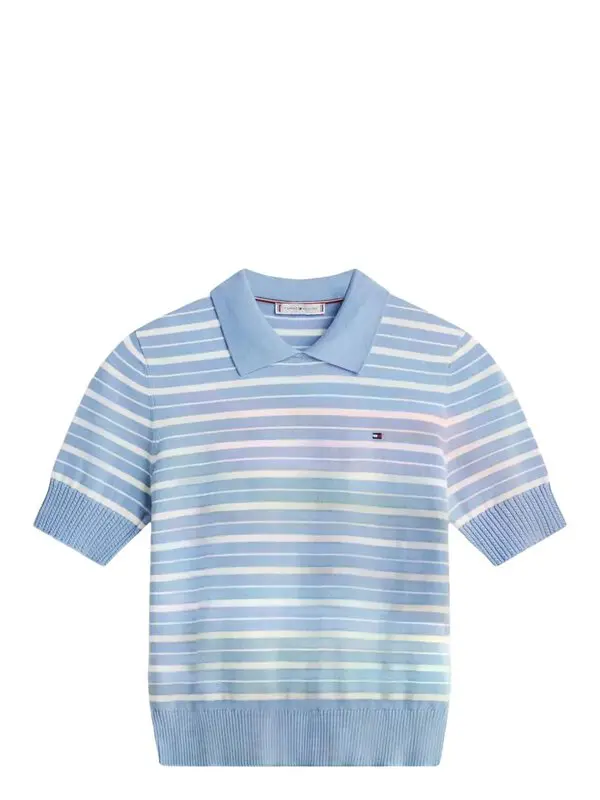 Tommy Hilfiger Striped Knit Polo Shirt - Blue