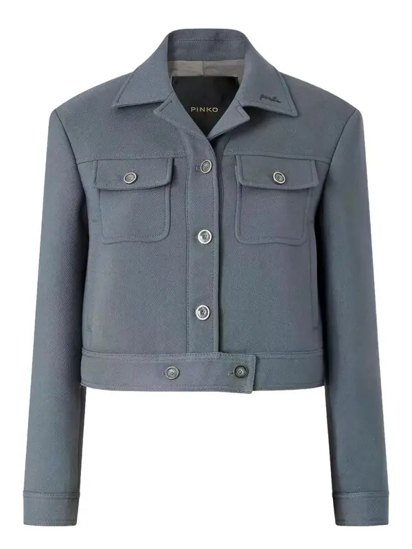 Pinko Buttoned Jacket - Grey