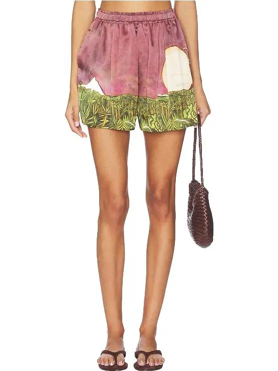 DONDE ESTEBAN La Sierra Silk Shorts - Multi