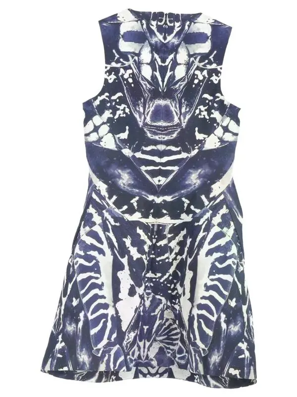 Alexander McQueen Printed Mini Dress - Blue