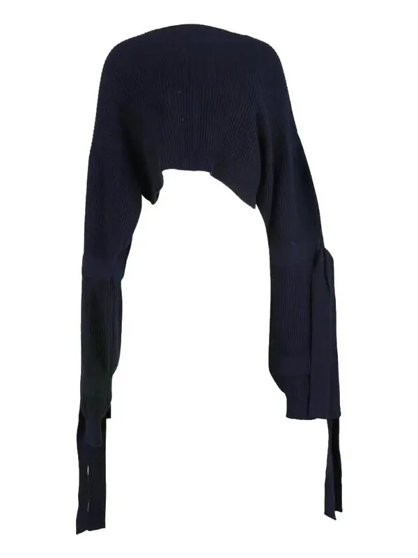 Stella McCartney Cropped Ribbed Knit Hoodie - Blue