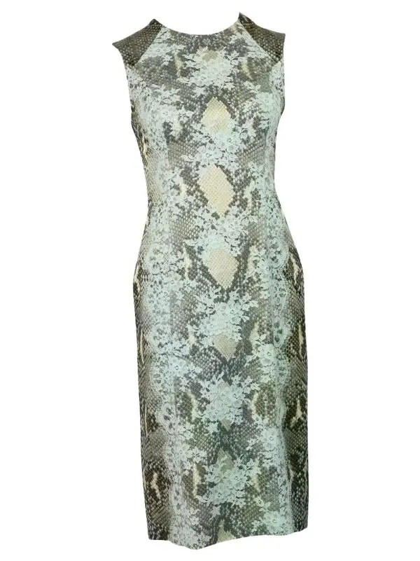 Erdem Snakeskin-print Midi Dress - Grey