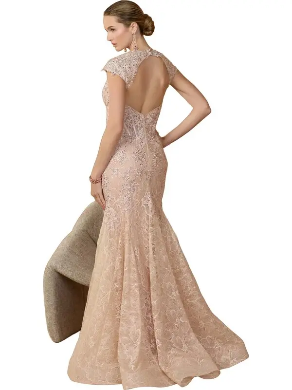 MAC DUGGAL COLLECTION Embroidered Lace Mermaid Gown With Cap Sleeves - Blush
