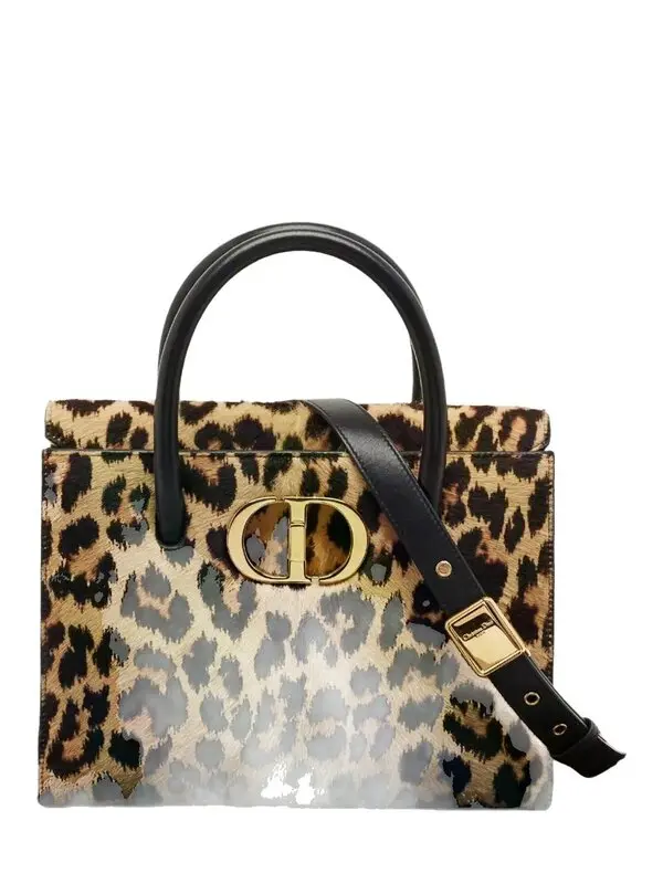 Dior St Honoré Leopard-print Tote Bag - Neutrals