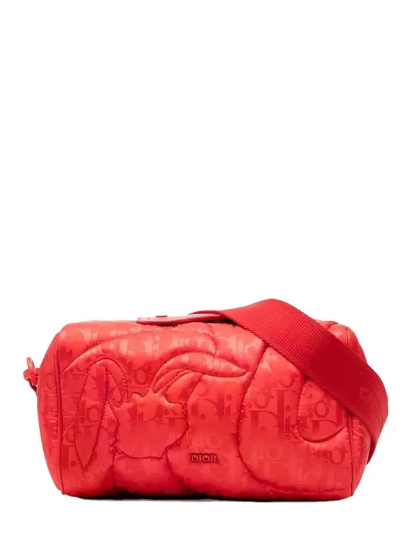 Dior 2022 Erl Oblique Mirage Lingot Crossbody Bag - Red
