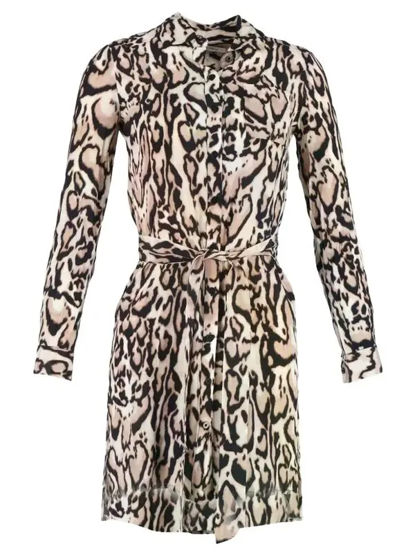 Diane Von Furstenberg Taya Leopard-print Shirt Dress - Neutrals