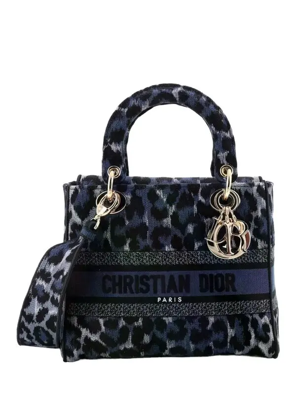 Dior Lady D-lite Bag Mizza Embroidered Canvas - Blue