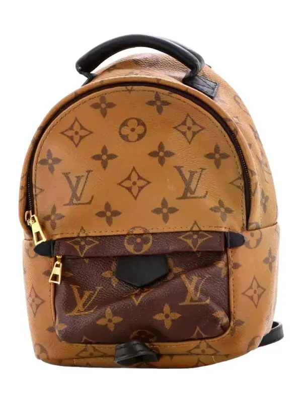LOUIS VUITTON Palm Springs Mini Backpack - Brown