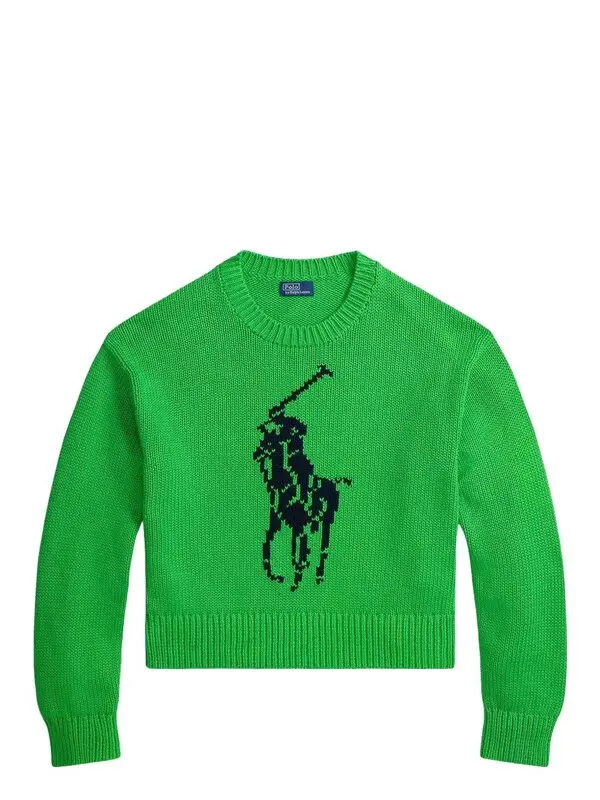 Polo Ralph Lauren Graphic Pp Sweater - Green