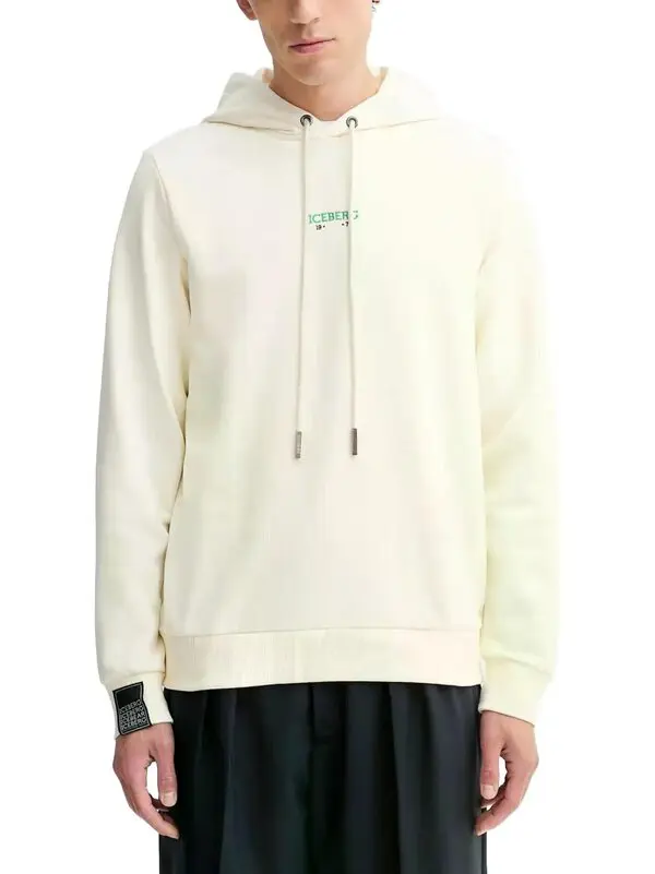 Iceberg Graphic Drawstring Hoodie - Neutrals