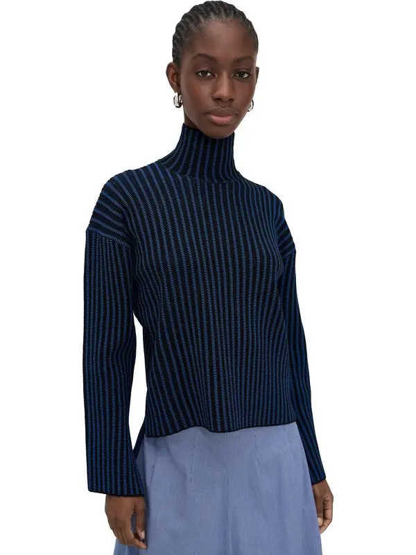 Proenza Schouler White Label Elysia Ladder Stripe Turtleneck Sweater - Blue/black