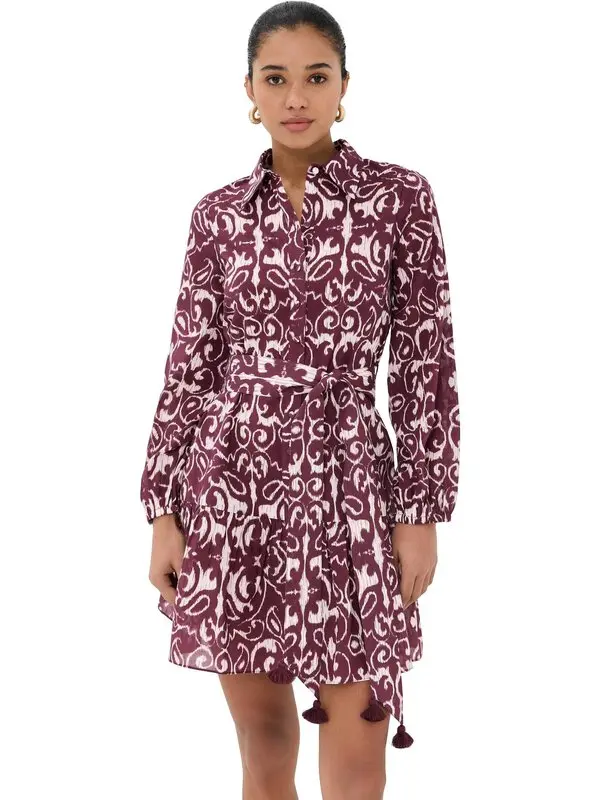 Figue Marcy Printed Mini Dress - Paisley Pirouette Bi