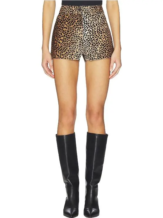 ZUT Ellis Shorts - Brown