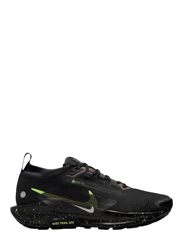 Nike Pegasus Trail Gore-tex Sneakers - Black