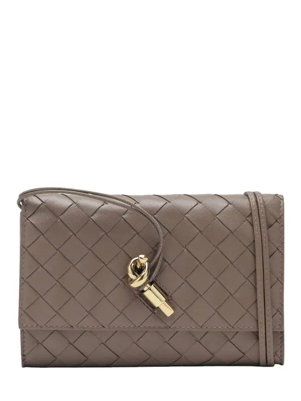 Bottega Veneta Intrecciato Andiamo Pouch - Brown