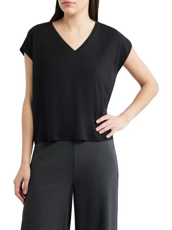 Eileen Fisher Boxy V-neck T-shirt - Black