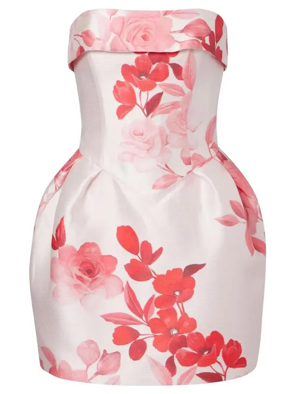 Monique Lhuillier Floral Bustier Dress - Pink