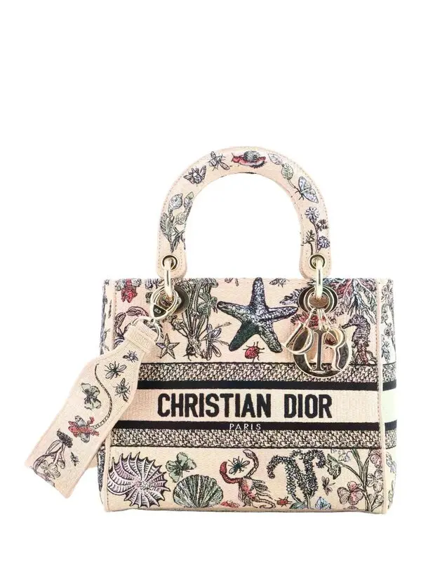 Dior Lady D-lite Bag Embroidered Raffia Medium Satchel - Neutrals