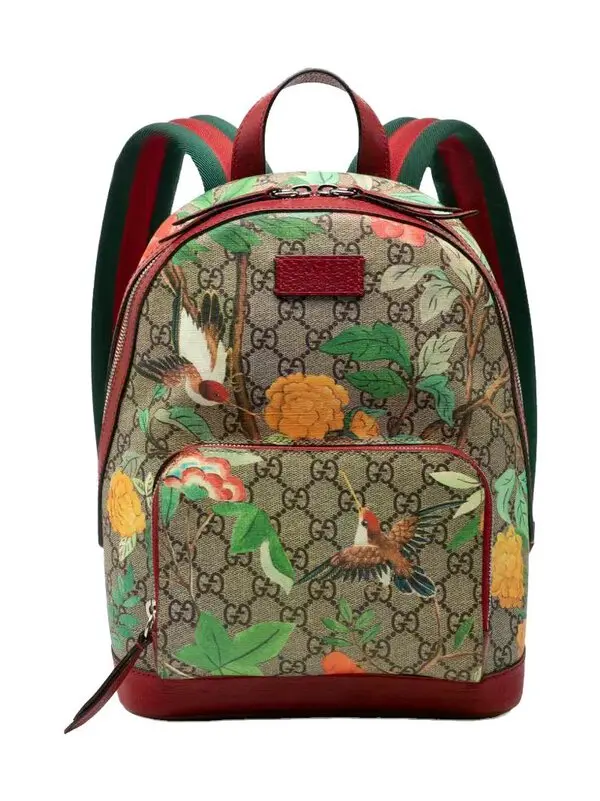 Gucci 2016-2025 Small Gg Supreme Web Tian Backpack - Brown