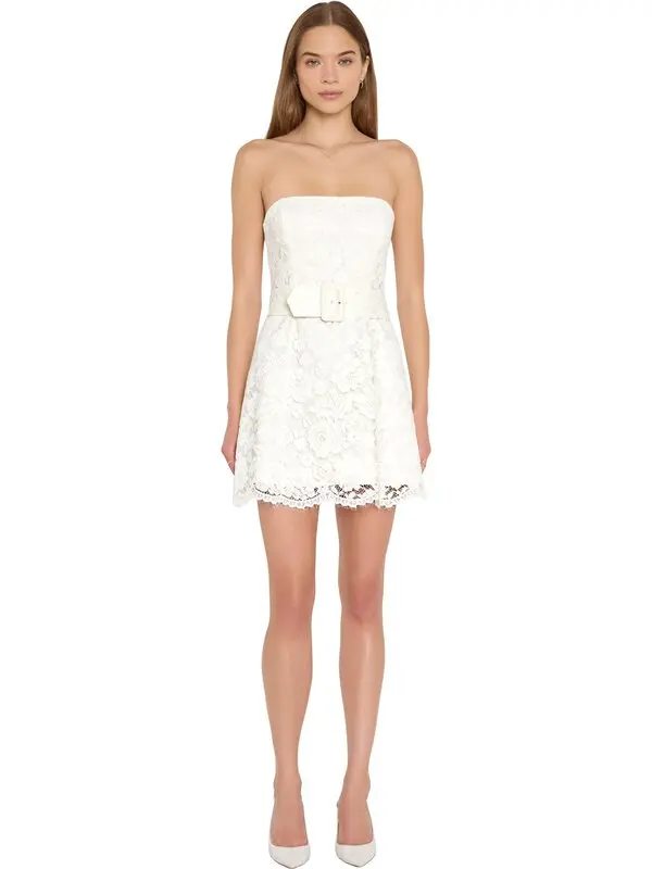 Amanda Uprichard Fae Lace Mini Dress - Ivory