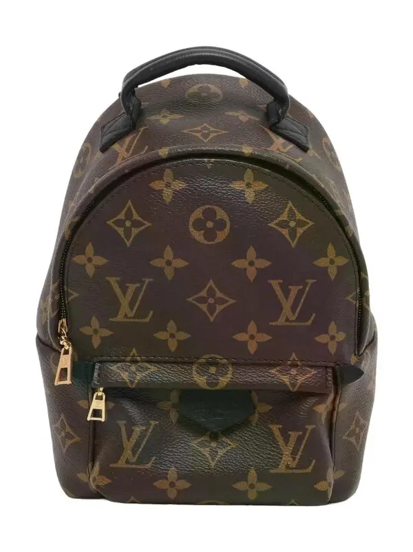 LOUIS VUITTON 2018 Palm Springs Monogram Backpack - Brown