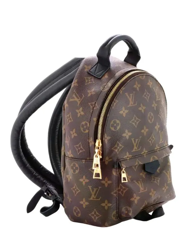 LOUIS VUITTON Palm Springs Monogram Canvas Pm Backpack - Brown