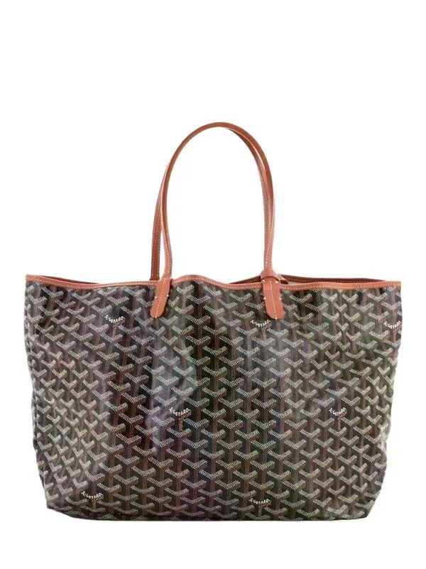 Goyard Saint Louis Coated Canvas Pm Tote Bag - Brown