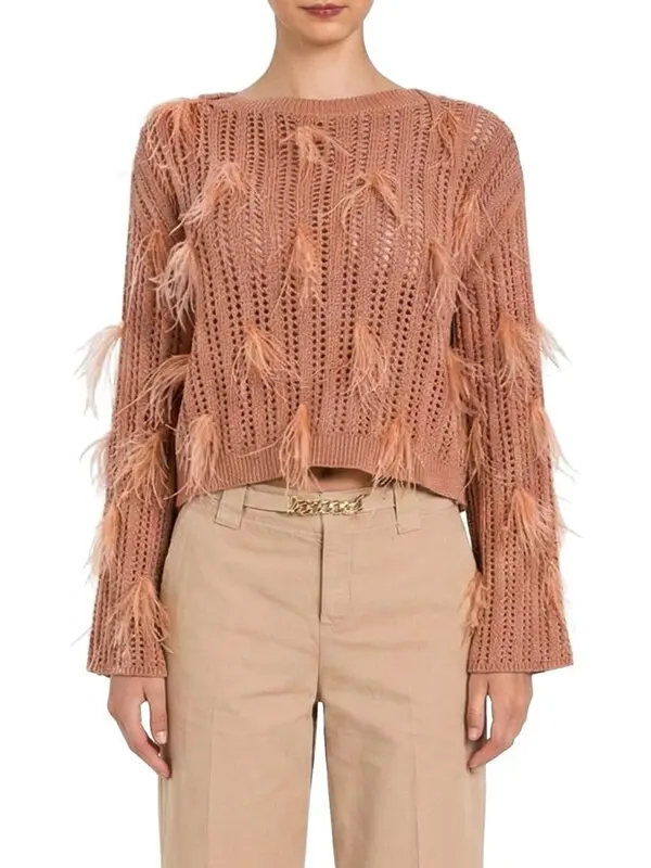 TWINSET Perforated Knit Pullover With Feather Embellishments - Coffee