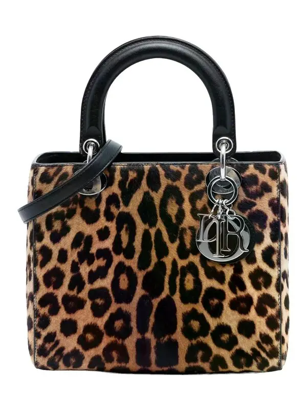Dior 2014 Medium Leopard Print Lady Satchel - Brown