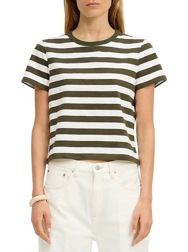 Denimist Striped Baby Tee - Dark Olive Green Ecru