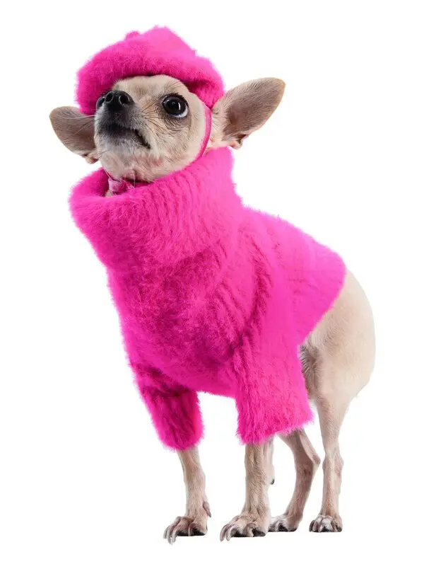 MOSHIQA Dog Sweater And Beret - Pink