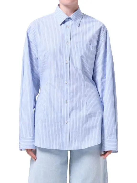 AGOLDE Cinch Stripe Button-up Shirt - Webb Stripe